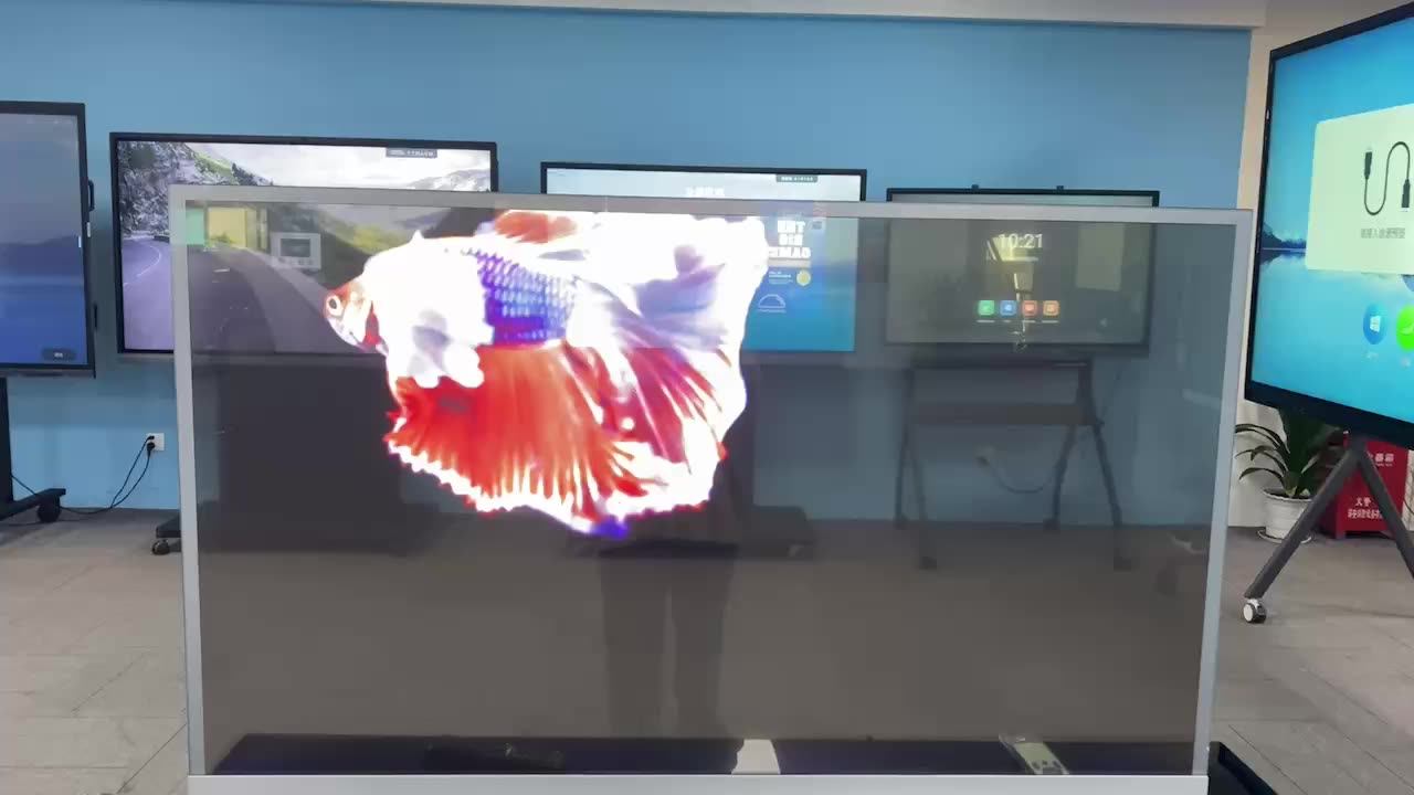 Vtex 55 Inch Smart Indoor Outdoor Transparent Screen Oled Clear Touch ...