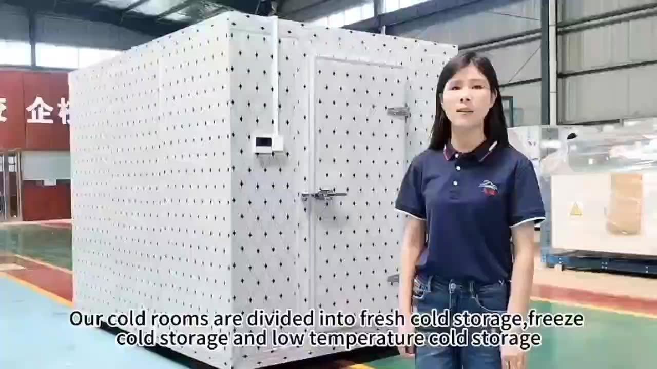 20ft Container Solar Powered Cold Room Portable Cold Storage For Fish ...