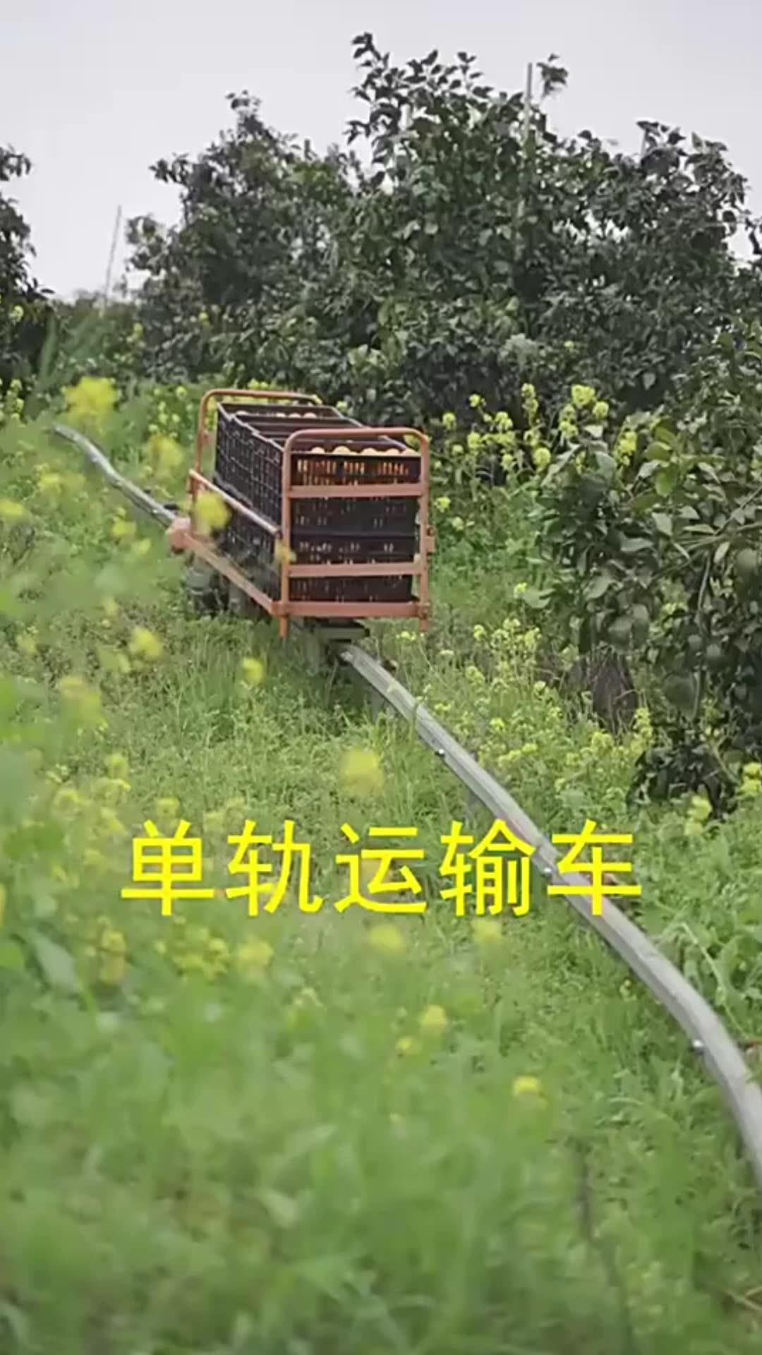 Best Selling Agricultural Loading Climbing Track Transporter Monorail ...