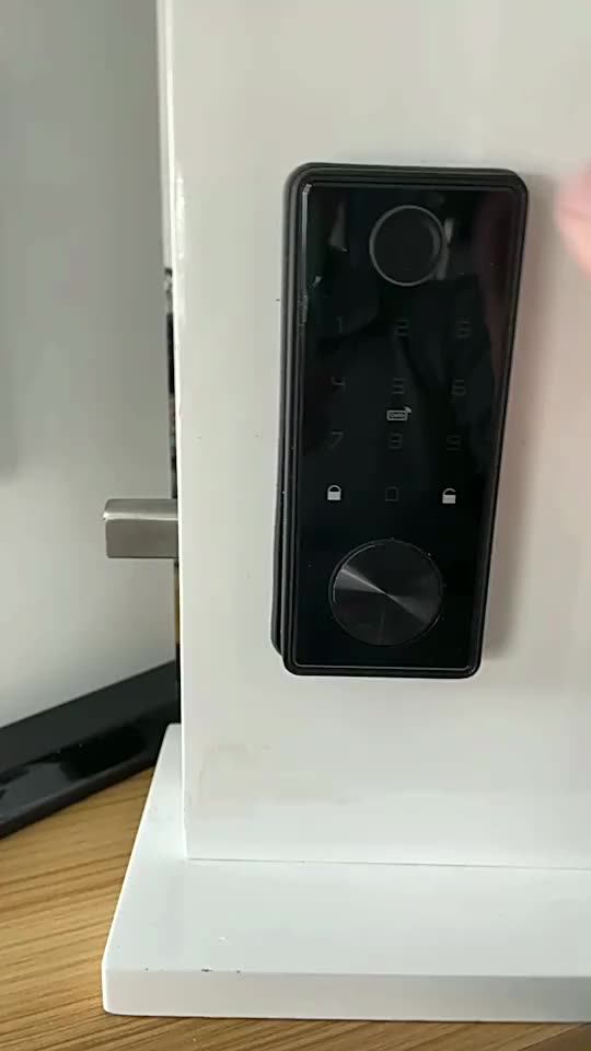 Smart Deadbolt Door Lock Biometric Fingerprint Home Hotel Digital Door ...