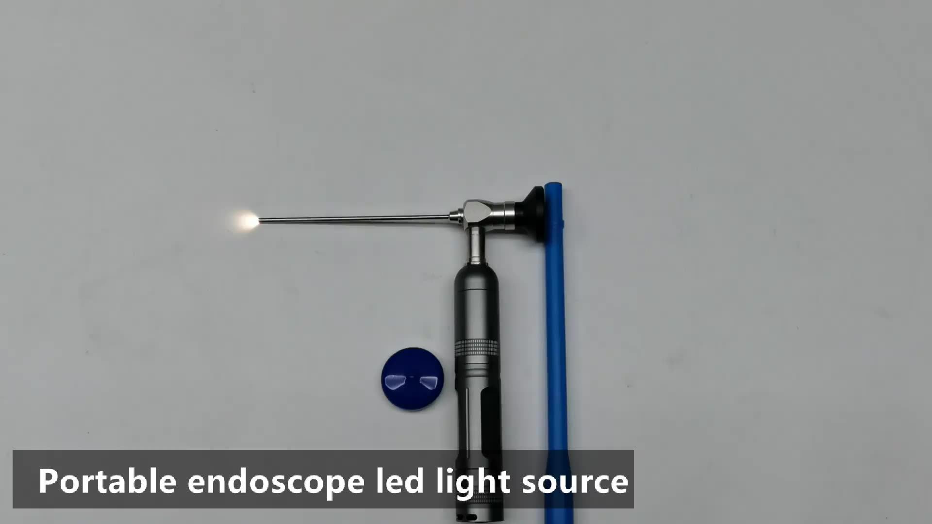 Portable Endoscope Led Arthroscopy Light Source Ent Endoscope Otoscope ...