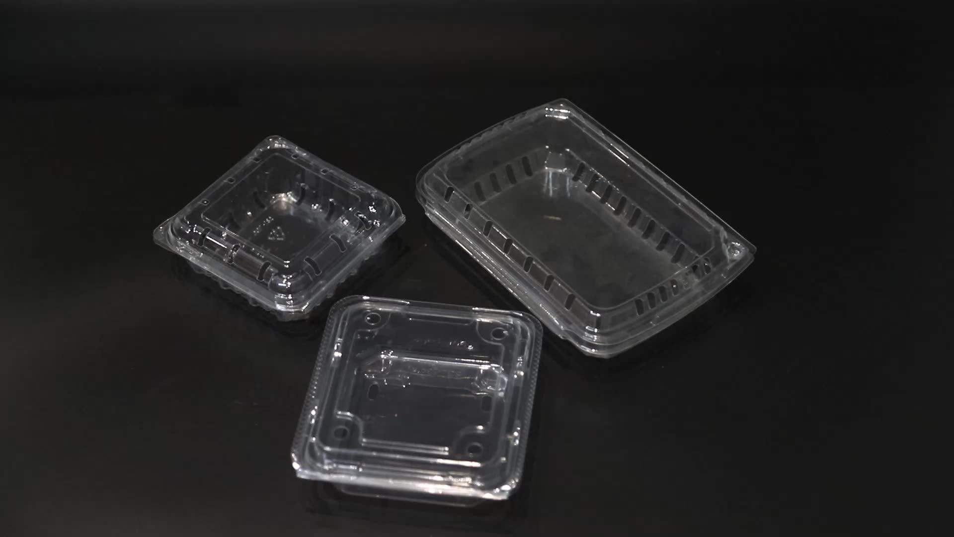 125g 250g 500g Plastic Fruit Packaging Clear Box Fruit Berry Strawberry ...