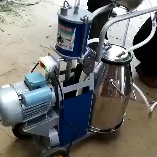 Cow And Goat Cluster Portable Gasoline Electric Two Motors Double 25l ...