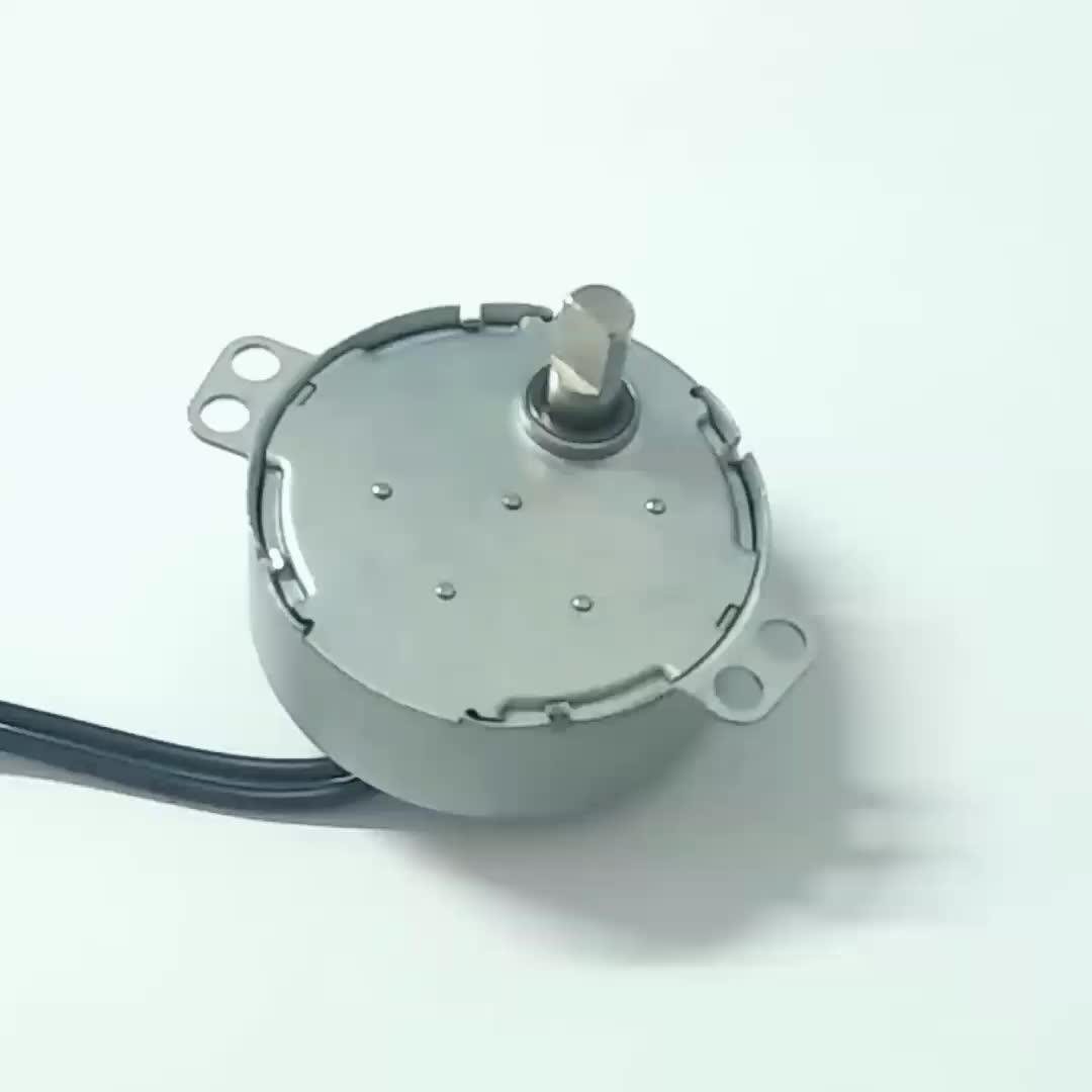 Mini Electric Motor 110-120v 20rpm Ac Motor Type 49tyz - Buy Ac ...