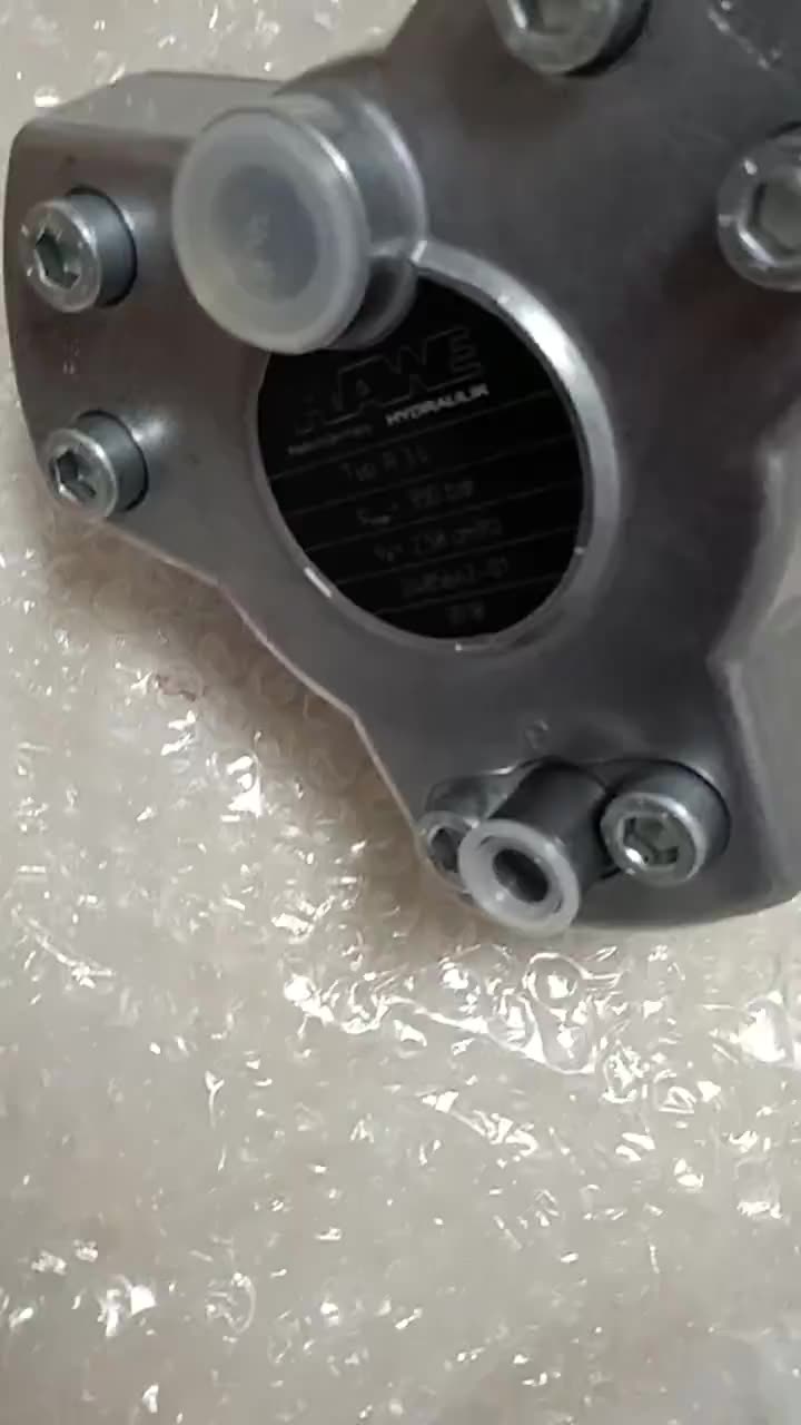 Original Hawe Plunger Pump Scp-034-r-n-i42-w30-z1g-300 Scp-047r-v-dl4-l35-svs-000 Scp-056l-n-dl4 ...