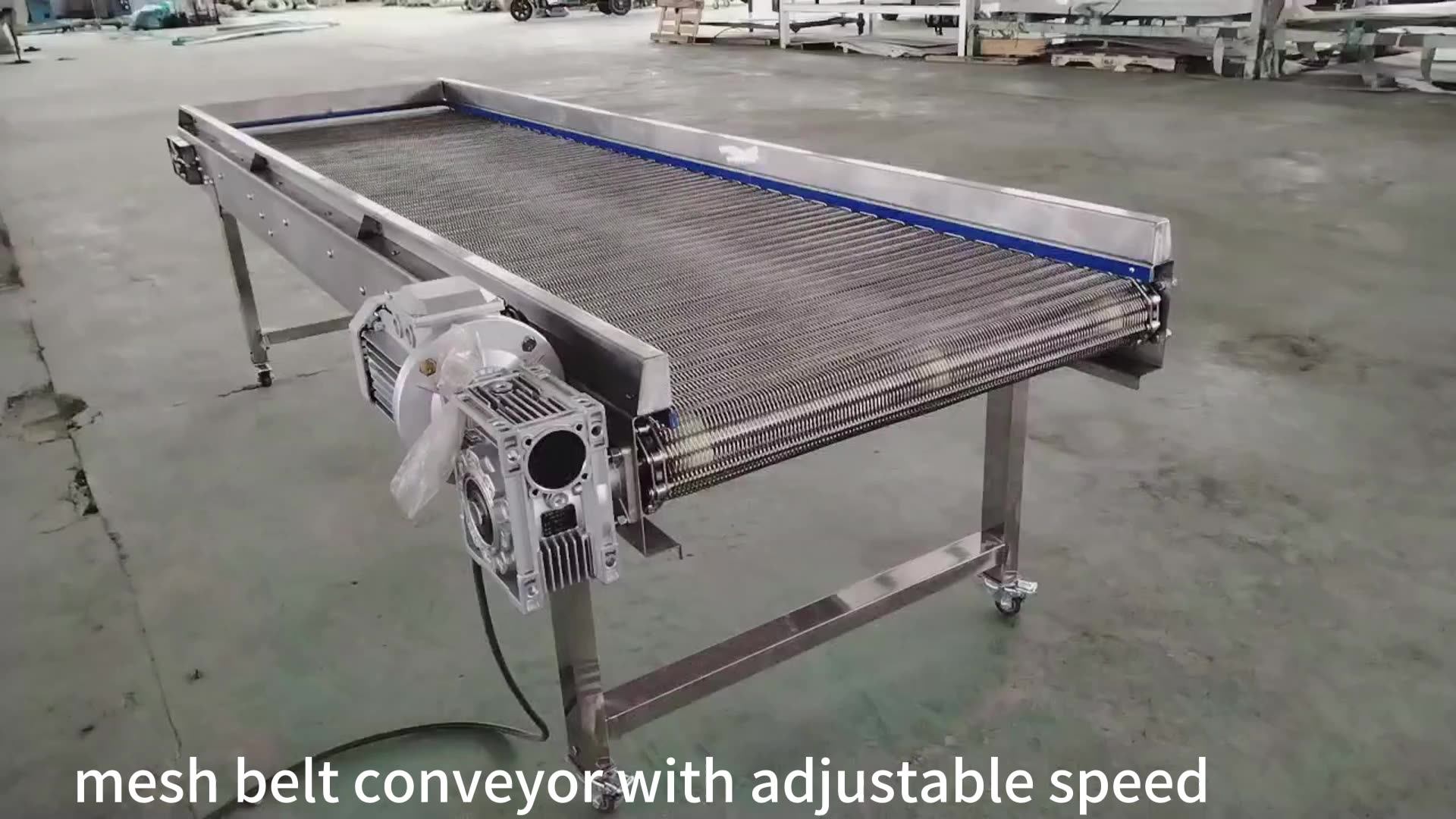 Mesh Belt Conveyor For Ss Conveyor - Buy Mesh Belt Conveyor,Ss Conveyor ...