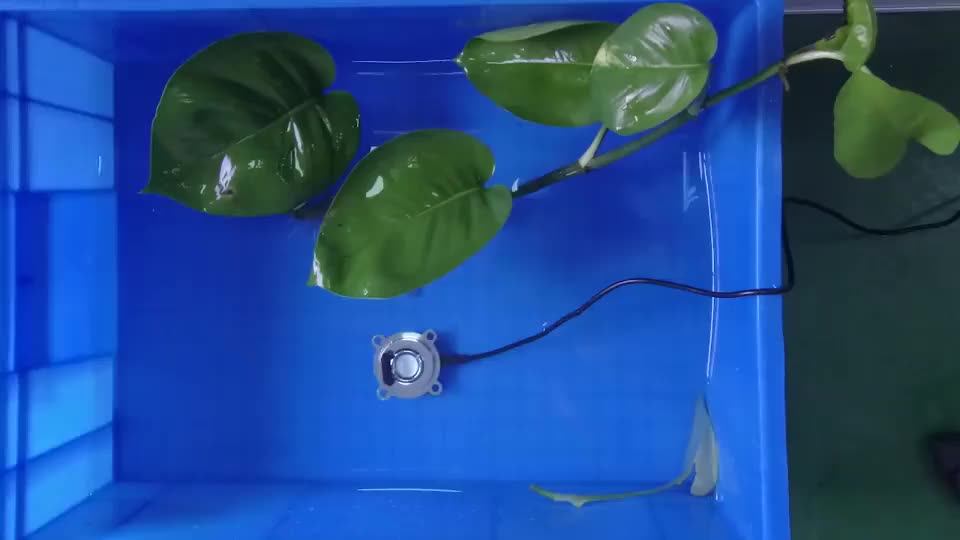 Single Head Mist Maker With Water Level Sensor For Flame Fireplaces ...