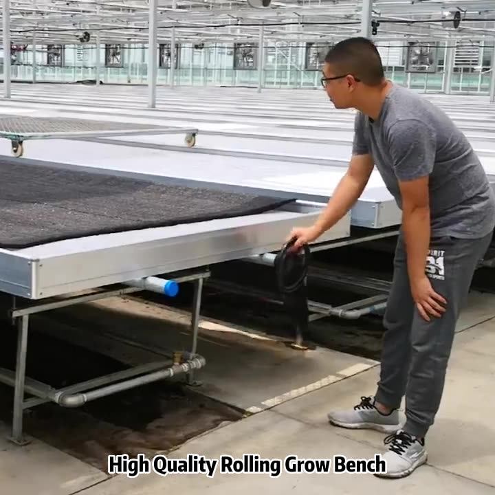 Agricultural 4x8 Soilless Culture Seeding Hydroponic Ebb And Flow ...