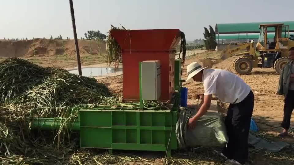 Hybrid Giant Napier Grass Dry Forage Packing Machine Alfalfa Pasture ...