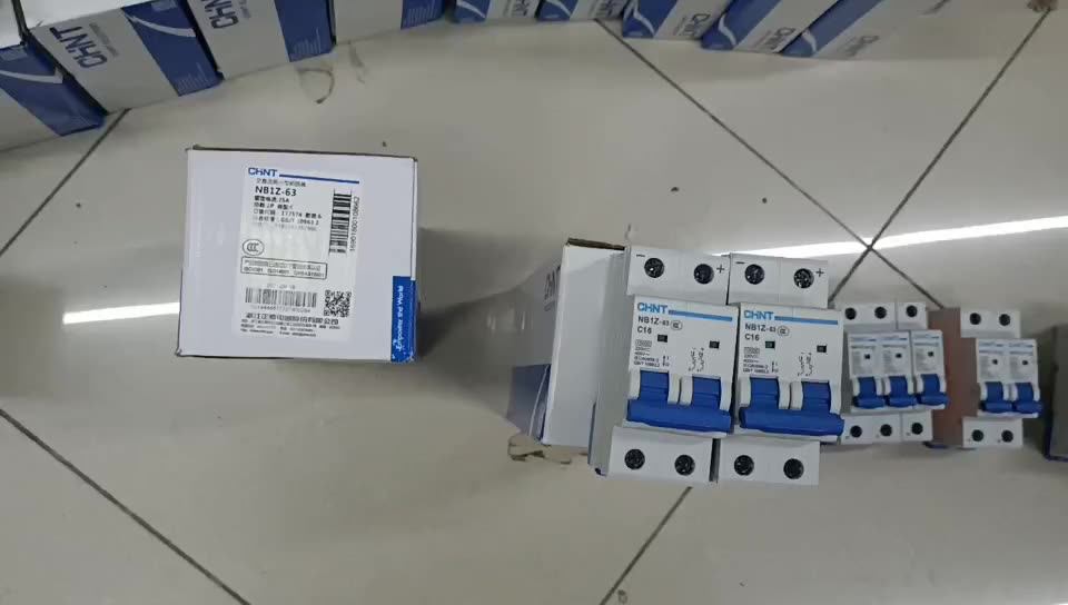 Chint Mccb Chnt Nxb-125 1p C100 2p C80 C100 C125 3p C63 C80 C100 C125 ...