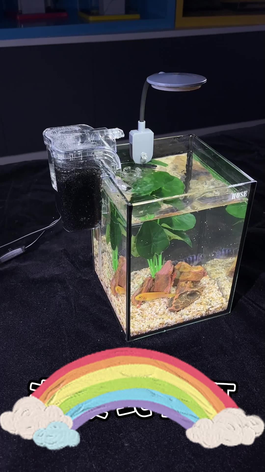 Mini Fish Tank Small Square Tank Glass Water-free Internet Celebrity ...