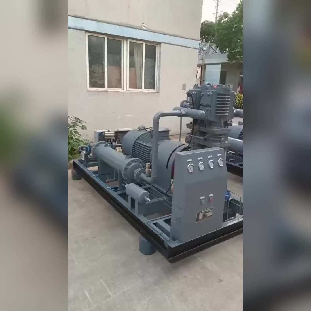 High Performance Industrial Cng Ph3 Diaphragm Special Gas Compressor ...