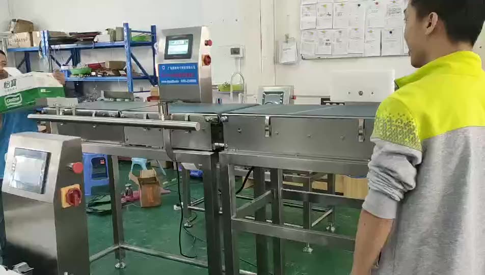 Automatic Weight Checker Conveyor Dynamic Food Checkweigher Machine Check Weigher With Rejector ...