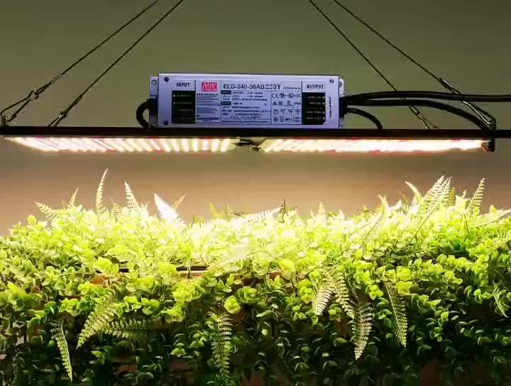 2019 Best Sellers Pre-assembled 240w Samsung 301b Led Grow Light Panel ...