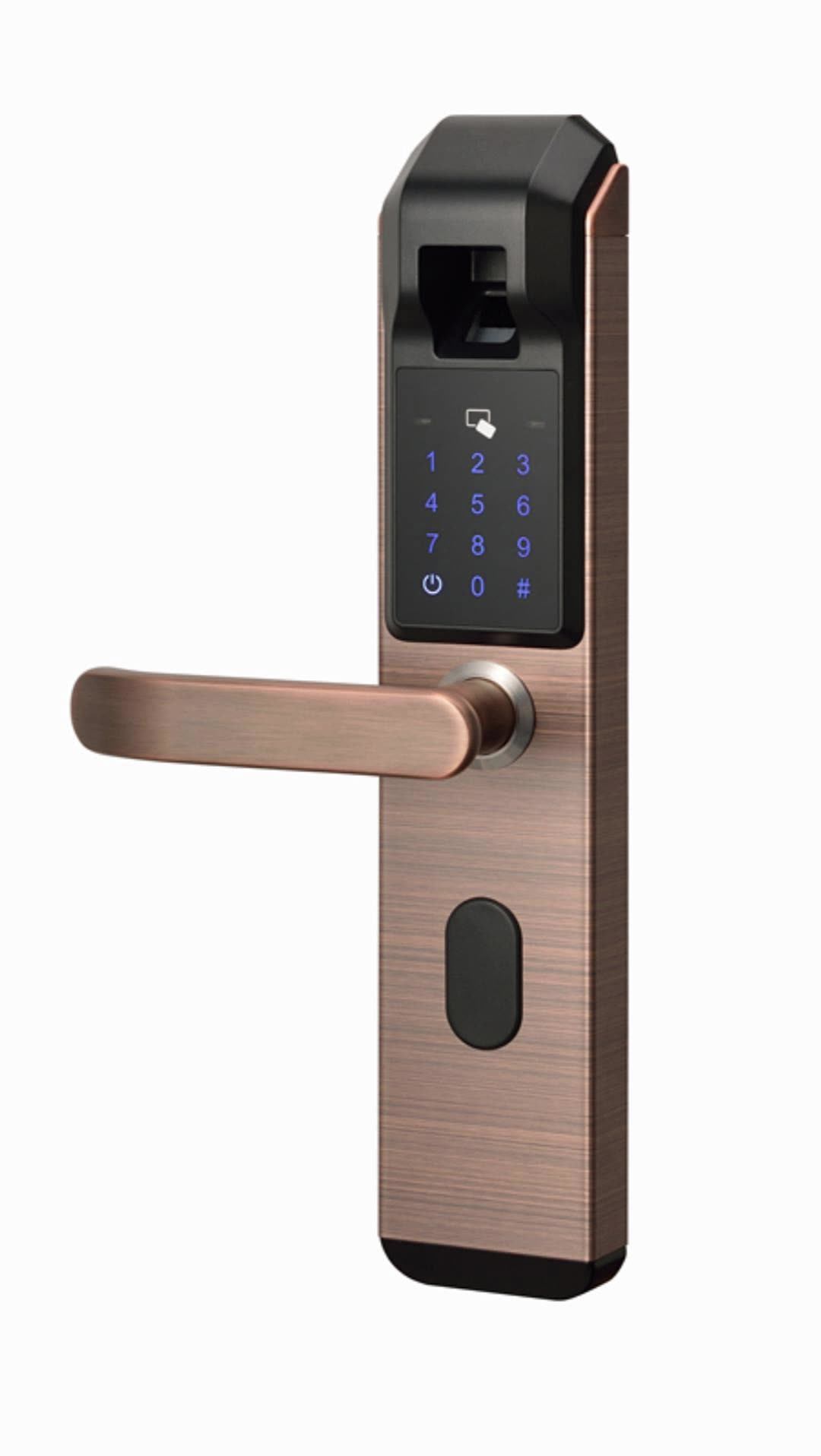Stainless Steel Security Electronic Smart Biometric Fingerprint Door ...