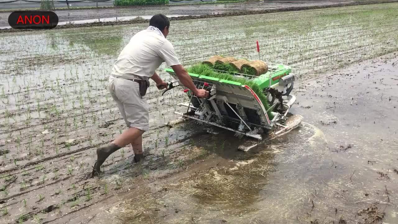 Anon Automatic 4 Rows 6 Rows Rice Planting Machine Rice Transplanter ...