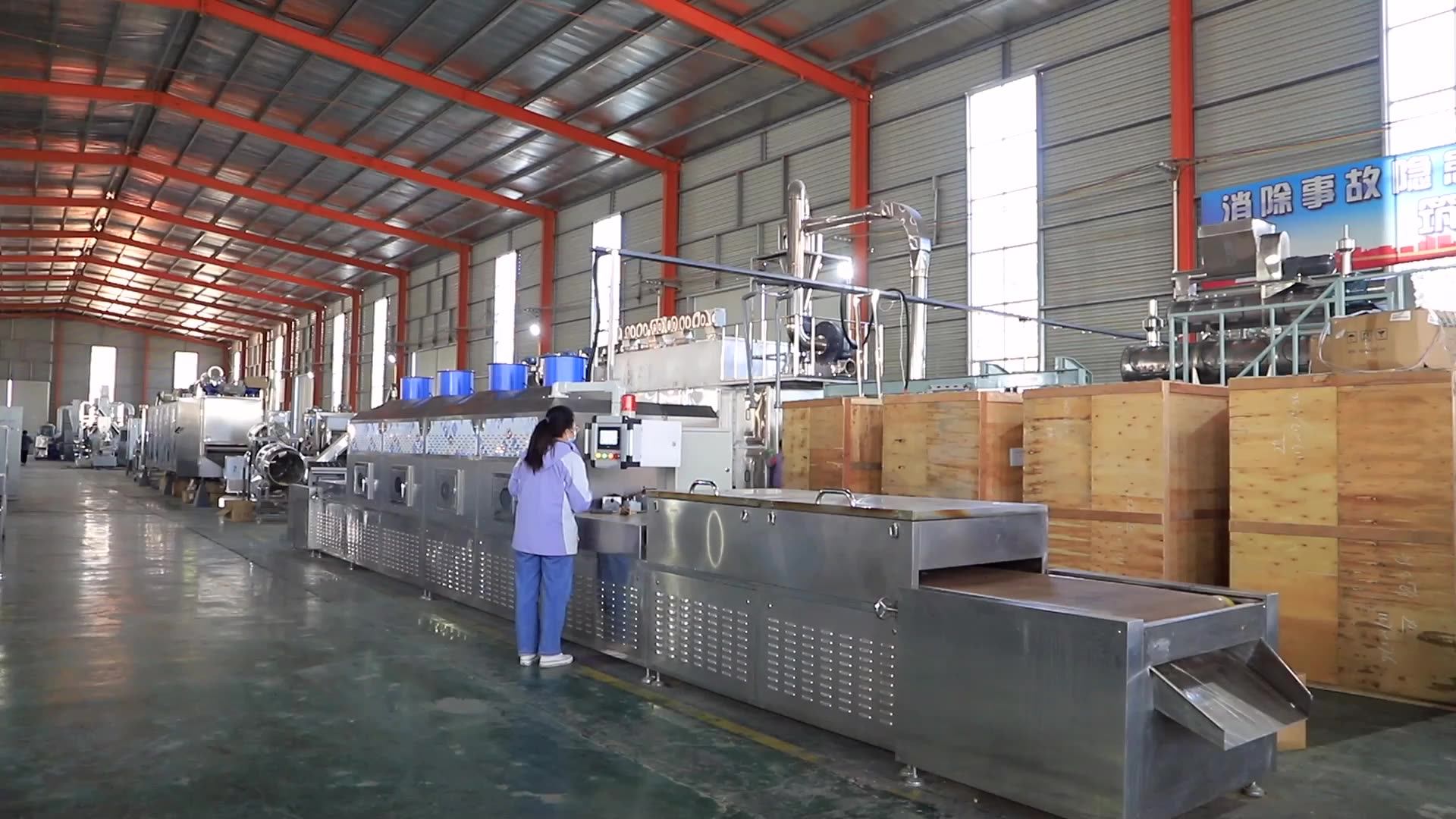 Black Soldier Fly Larvae Microwave Dryer Machine Stainless Steel Dryer ...