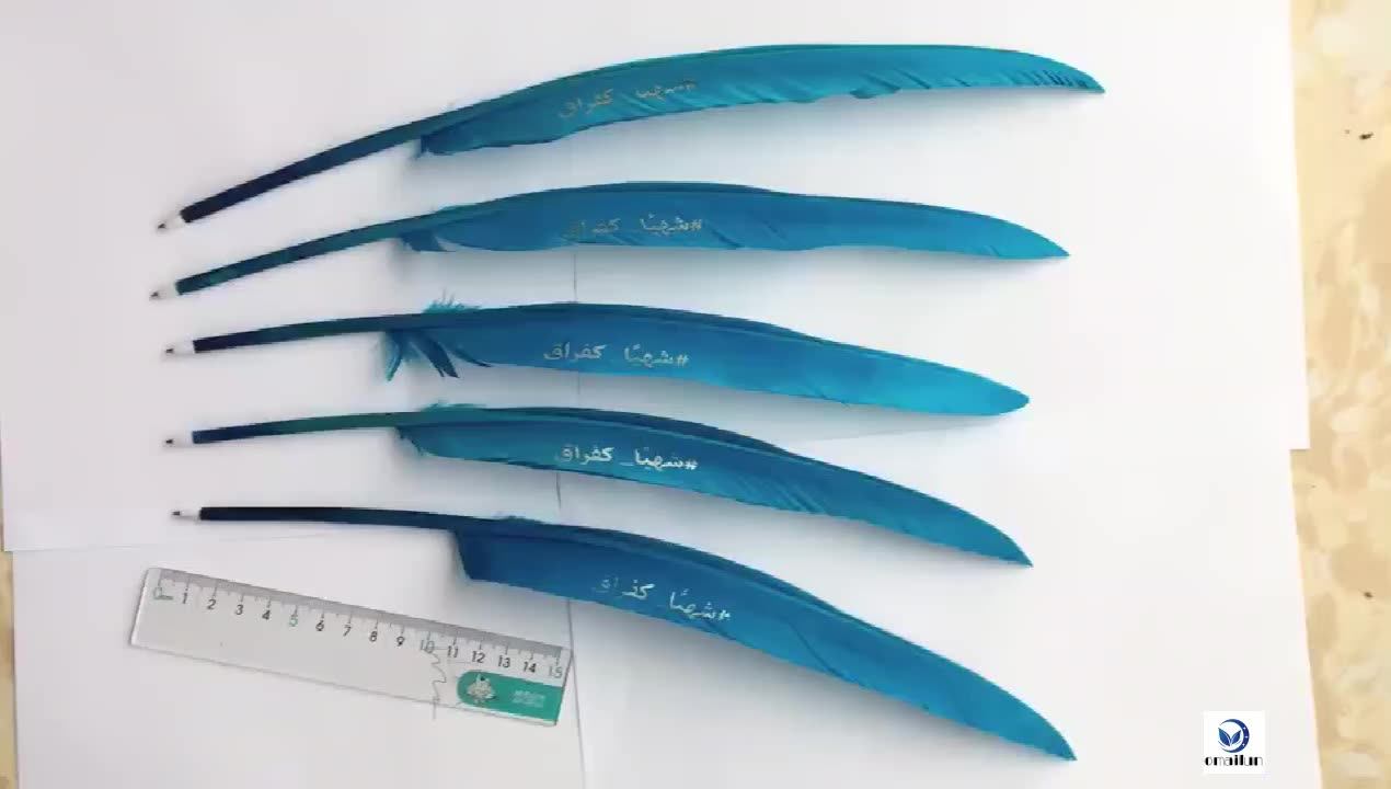 Promotional Cheap Plastic Red Pink Goose Feather Quill Ball Pen With ...