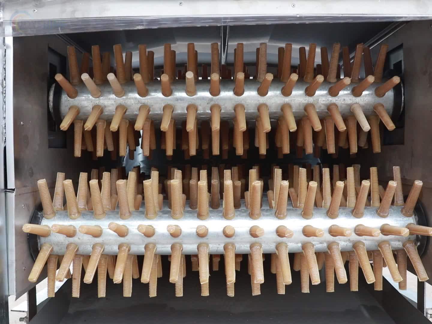 Industrial Poultry Chicken Birds Processing Plant Chicken Plucker ...