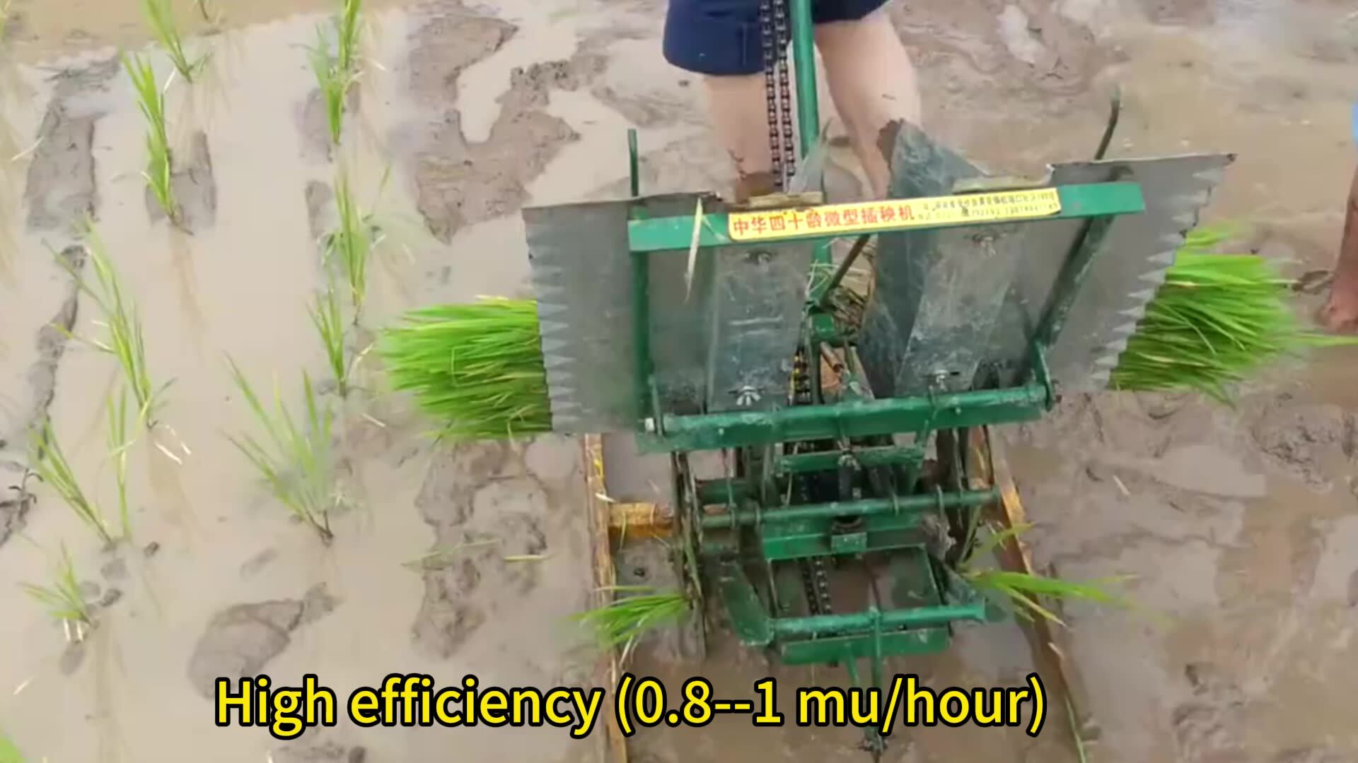 Factory Wholesalerice Planter Paddy Planting Machine Seeders ...