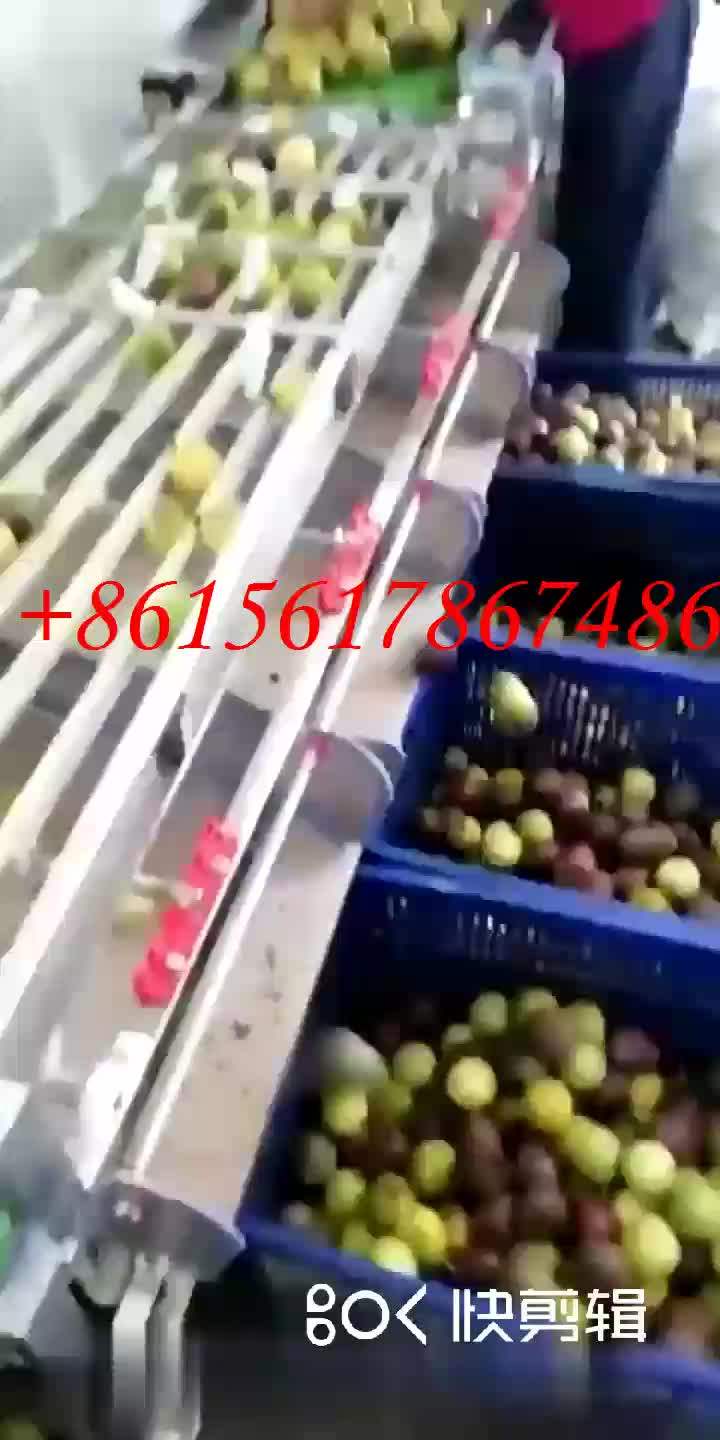 Mango Fruit Grading Machine/sorter Grader/lemon Sorter Machine In Fruit ...