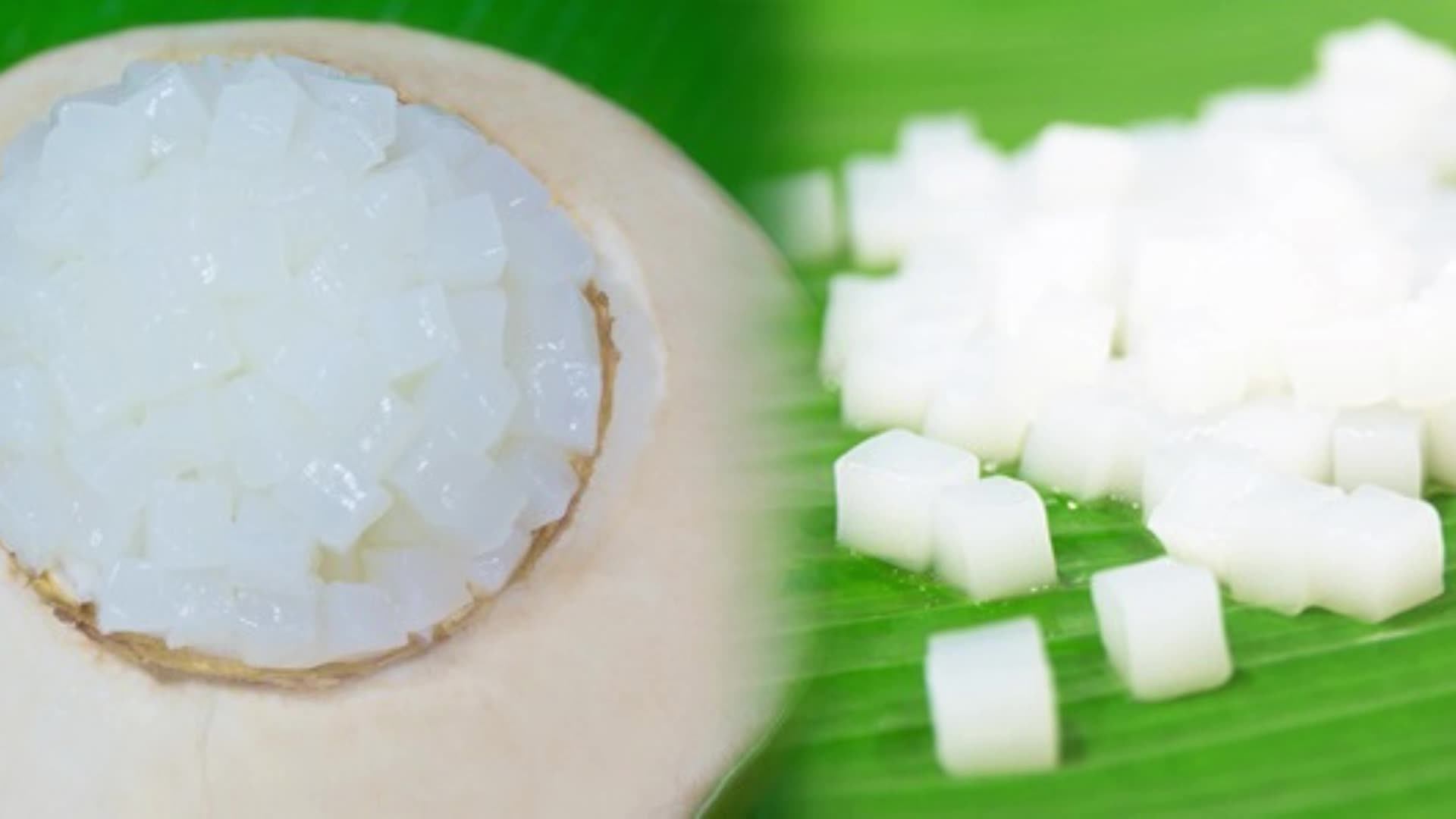 Nata De Coco Coconut Jelly Oem Beverage Drink - Coco Jelly Cube Instant ...