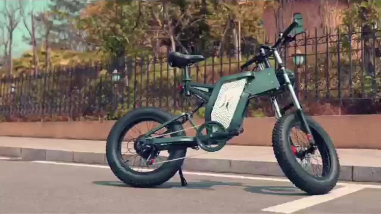 Ekx X21 Electric Bike 20 Inch Fat Tire Off Road Ebike 2000w 48v ...