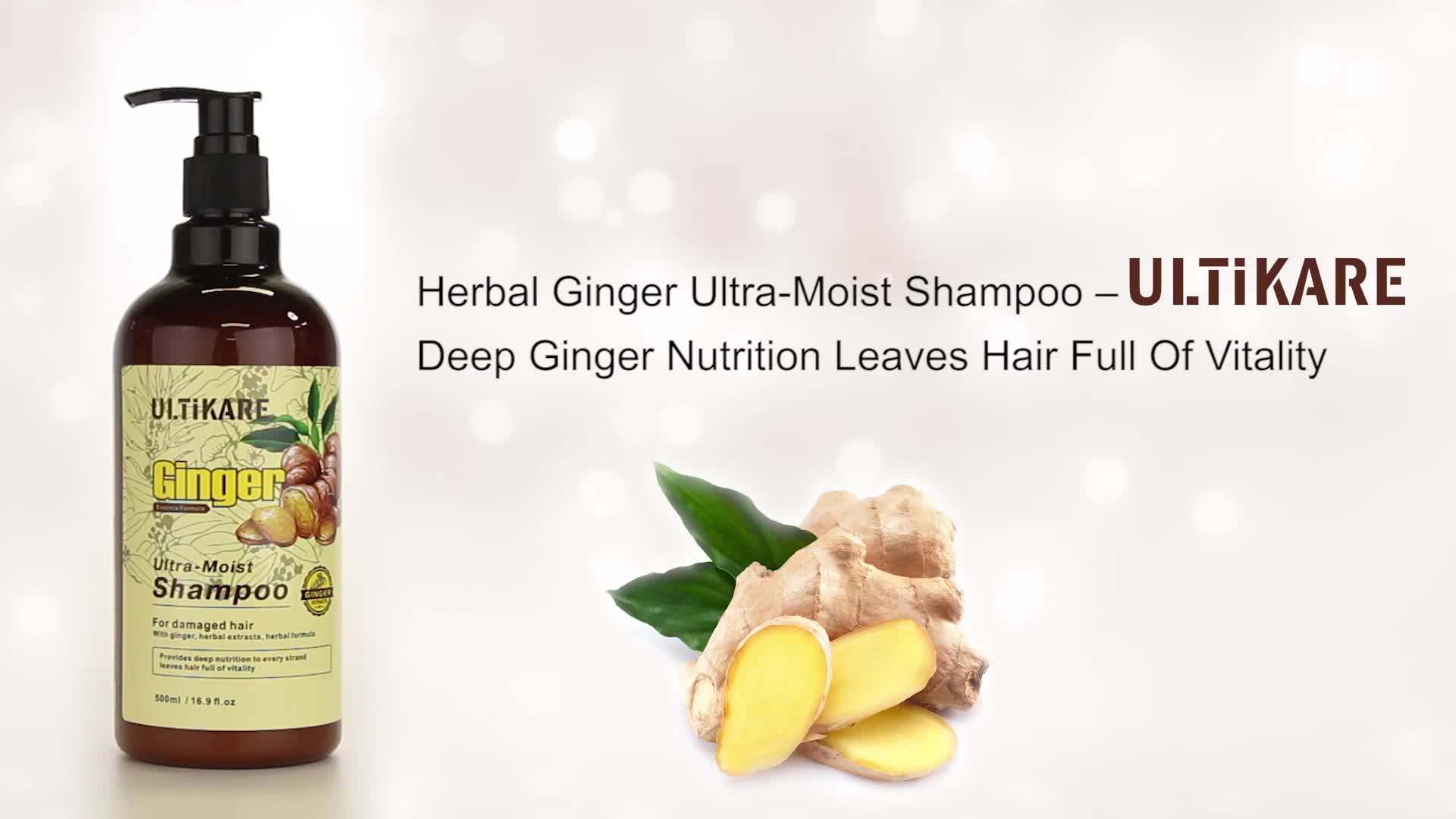 Guangzhou Manufacturer Natural Organic Ginger Shampoo Brands Bio Plant ...