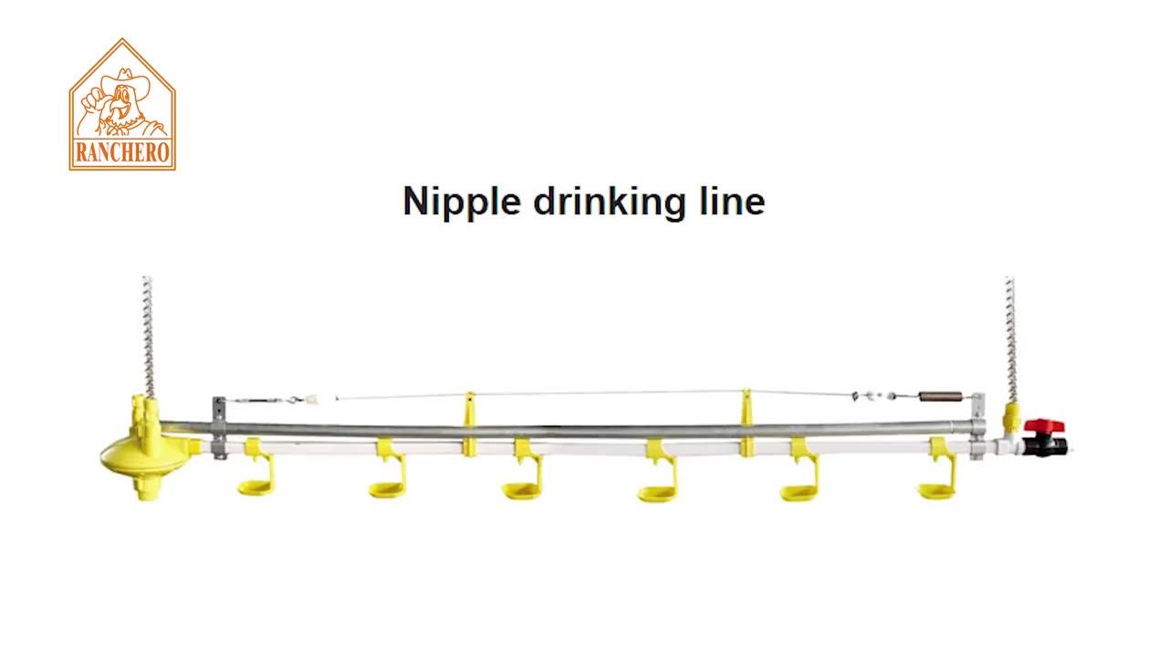Nipple Drinking Line Automatic Cup Style Poultry Chicken Drinkers ...