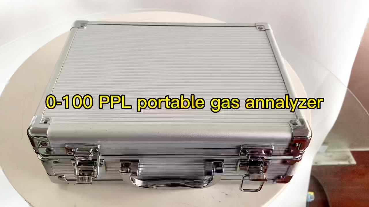 Portable Ph3 Ch3br So2f2 Gas Detector With Pumping Sampling For ...