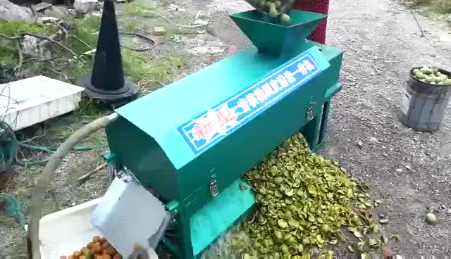 Multifunctional Automatic Black Walnuts Walnut Hulling Sheller Shelling Peeling Machine ...
