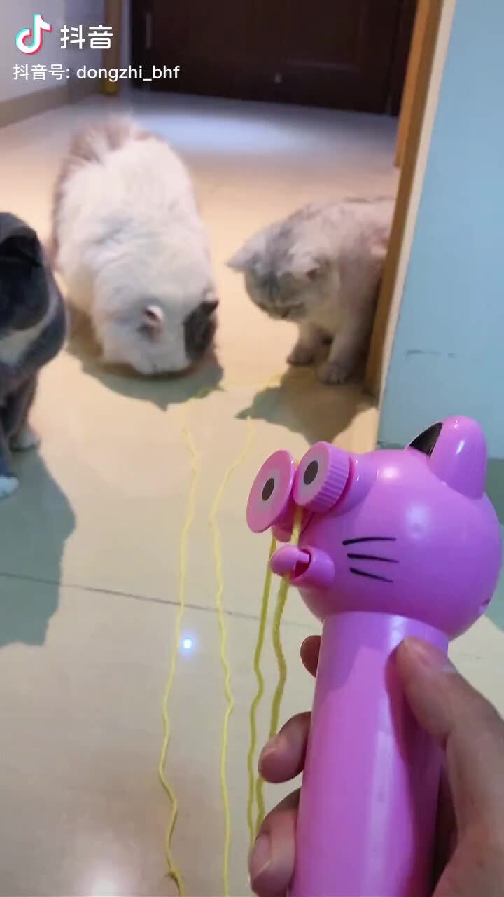 Zipstring Rope Launcher Hand Held String Controller Rope Propeller Zip ...