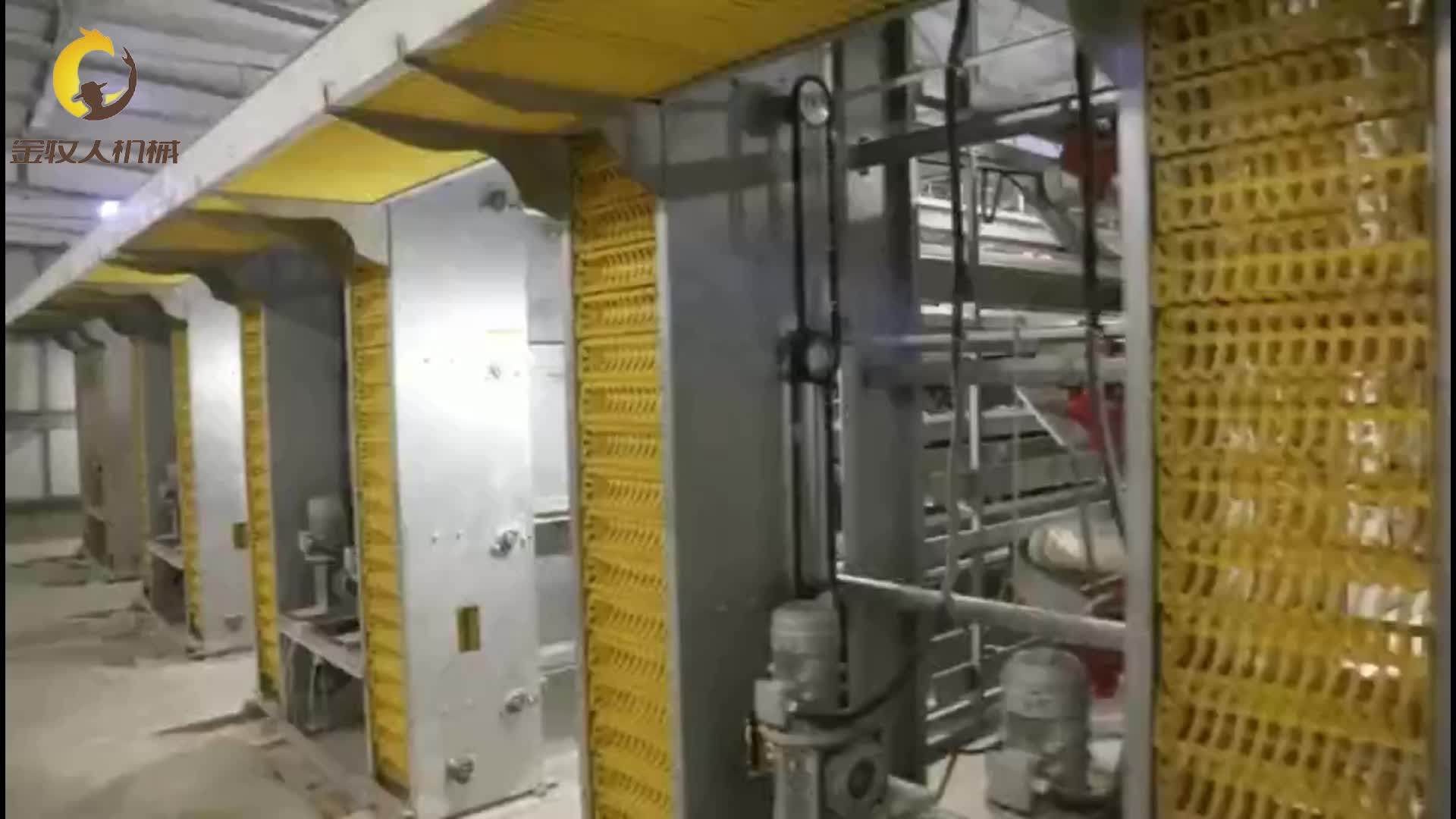 High Quality Automatic Egg Collecting Machine For Chicken Layer Cage ...