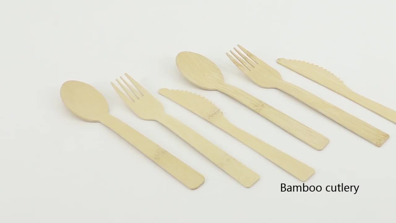 Degradable Natural Eco Friendly 170mm Bamboo Disposable Spoon Bio ...