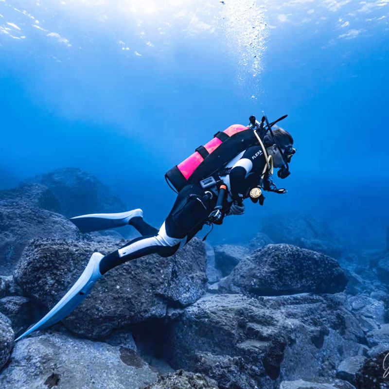 陵水角双帆石潜水考证：OW/AOW/自由潜/FD，开启你的海底探险之旅🌊!-潜水-淘宝百科网