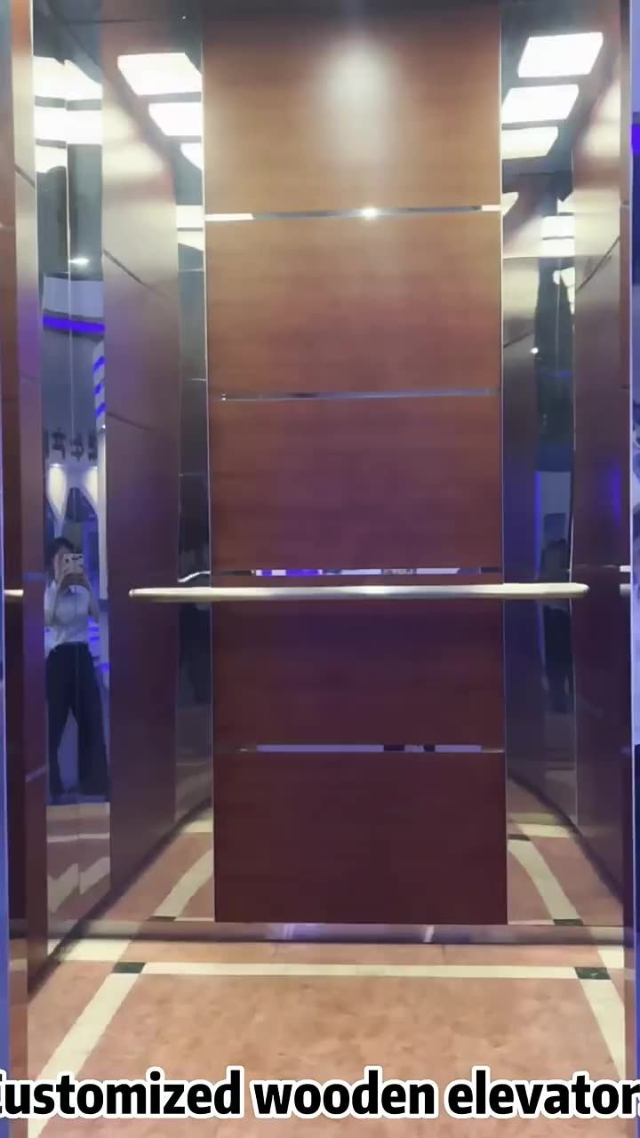 Fuji Ce Certification Elevator Leading Technology Durable High Speed ...