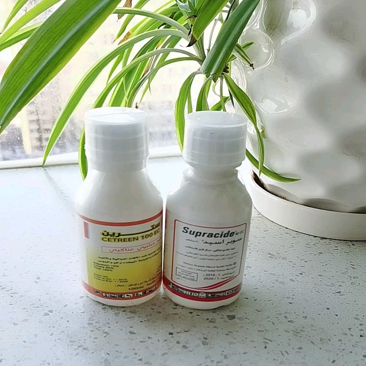 Good Price Bifenthrin 2.5%ec Pesticide Insecticide - Buy Insecticide ...