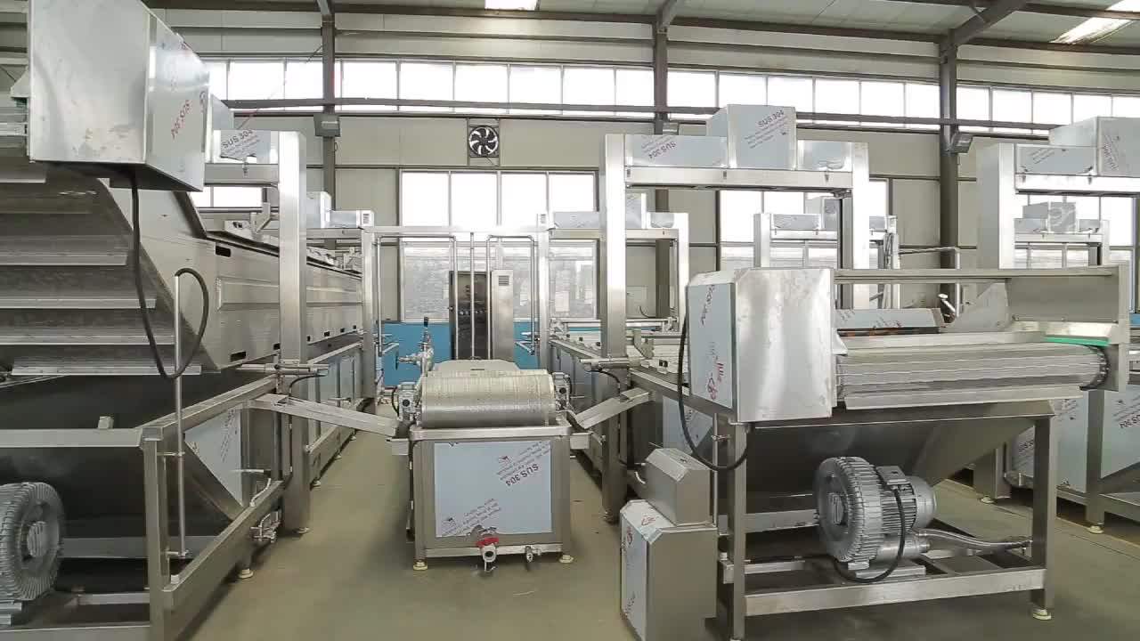 Professional Standard Meat Instant Thawing Machine Frozen Fish ...