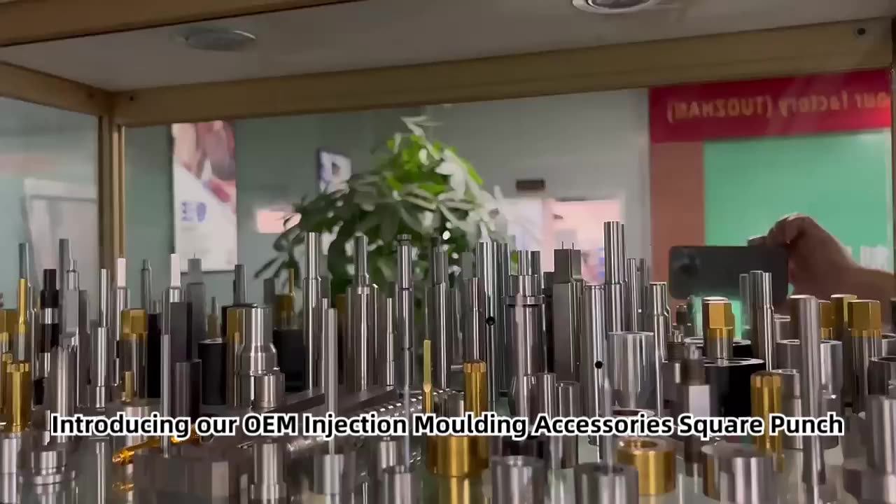 Standard Tolerance Round Pin Hole Punch Accessories Injection Moulding ...