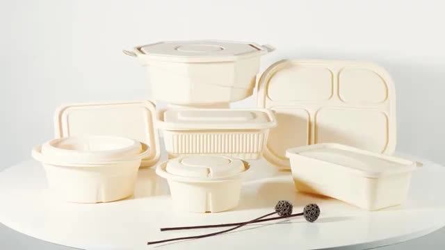 Biodegradable Food Container White Disposable With Lid Packaging Take ...