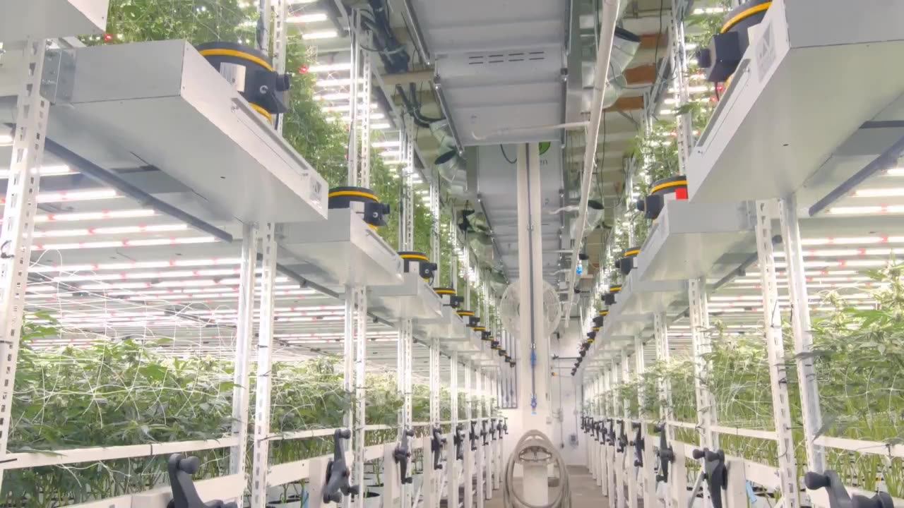 Techygro M1 2-4 Layers Vertical Grow Racks For Vertical Indoor Farming ...