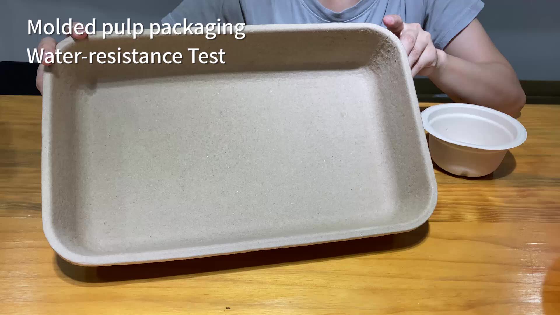 H10-biodegradable Disposable Molded Paper Pulp Kitty Litter Trays Cat ...