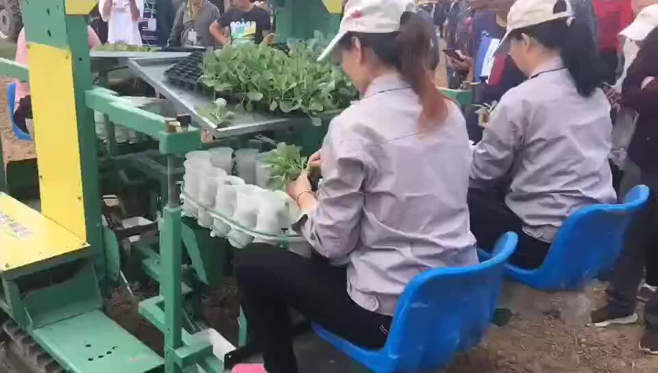 Tomato Seedlings Transplanting Machine Vegetable Transplanter 6 Rows ...