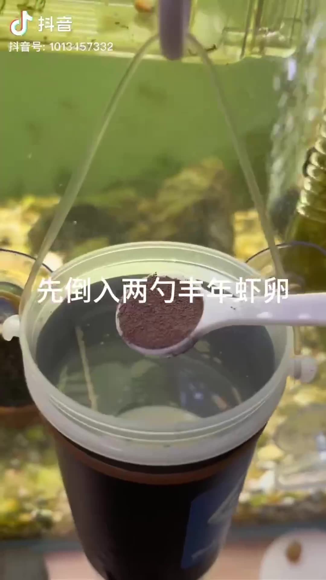 Oem Artemia Hatching Device Brine Shrimp Eggs Hatch Incubator Hatching ...