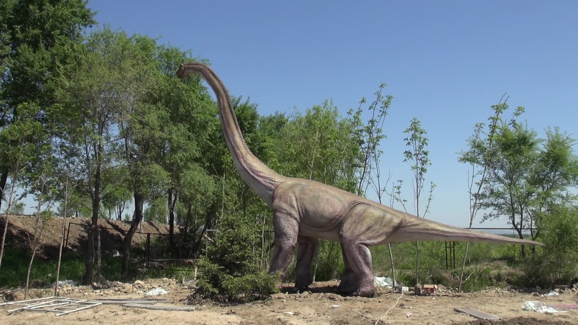 Sgad148 Theme Park Long Neck Tall Realistic Brachiosaurus Alive ...