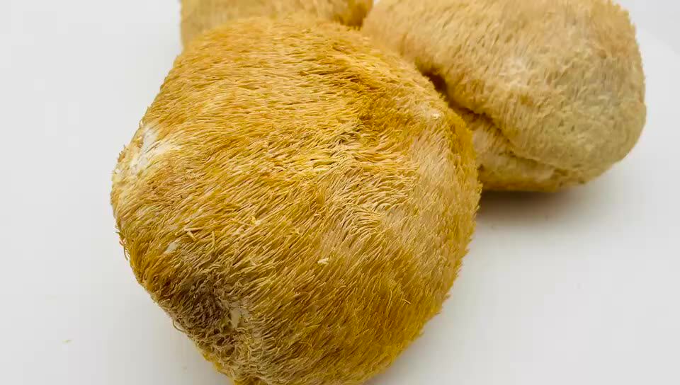 Dried Lion's Mane (monkey Head) Mushroom - Buy Lion Mane Dried,Dried ...