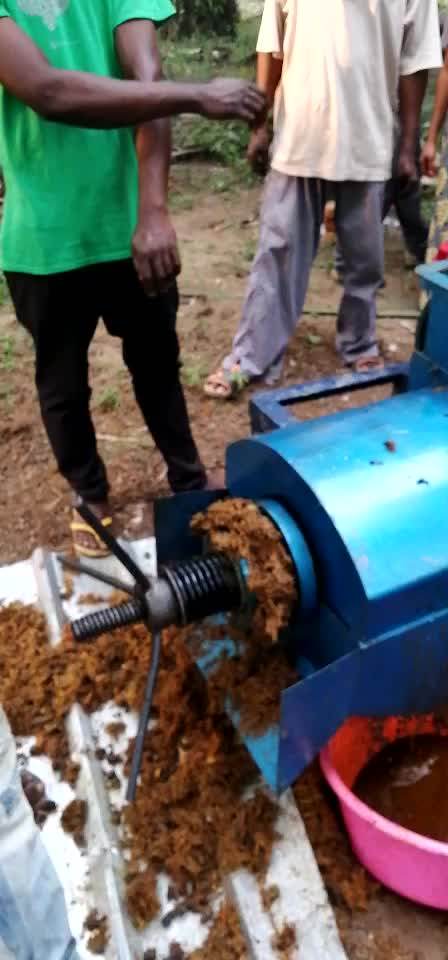 Popular 300kg Per Hour Palm Oil Extraction Machine Price/ Palm Fruit ...