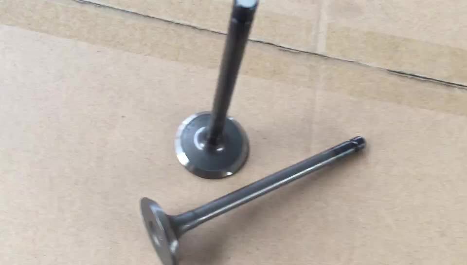 Oem No.96182806 96182805 Engine Intake Exhasut Valve Used For A16dms ...