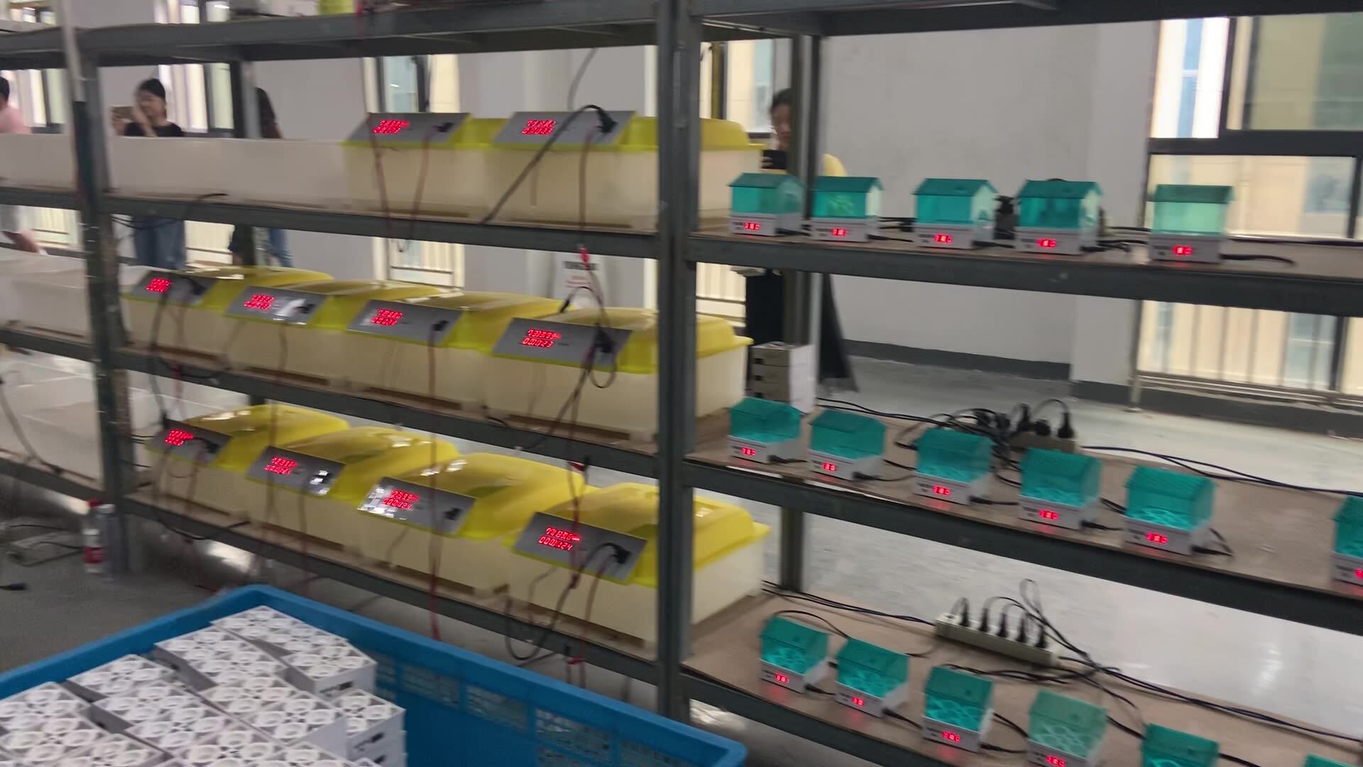 2019 Most Popular Parrot Brooders For Sale Incubator As The Gift For ...