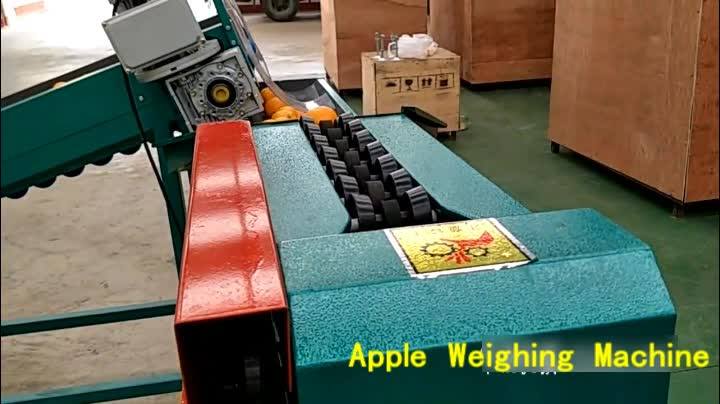 Egg Grading Machine Used Almond Guava Grader Avocado Cleaning And ...